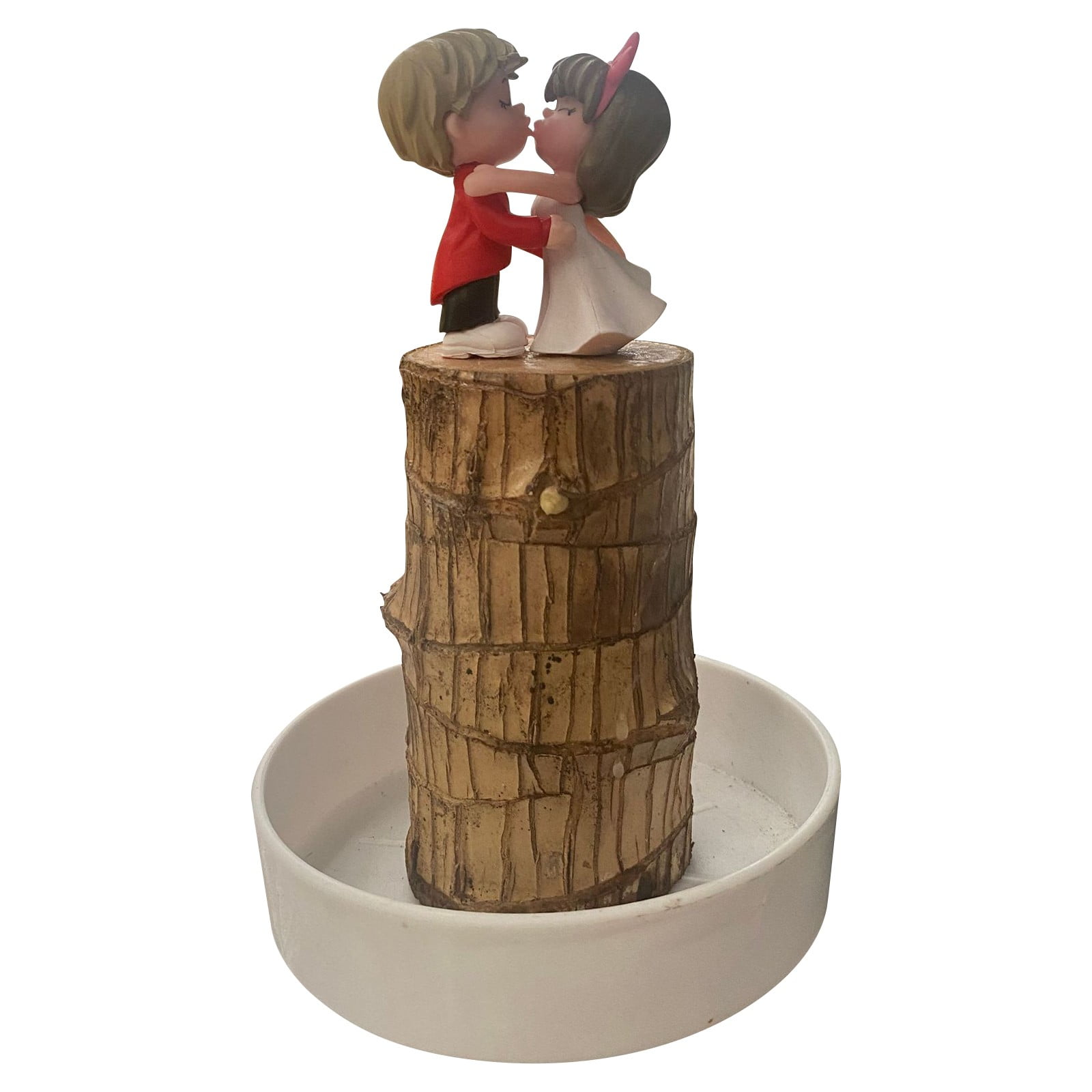 Mini Brazil Lucky Wood, Hydroponic Tree Stump Desktop Plants ...