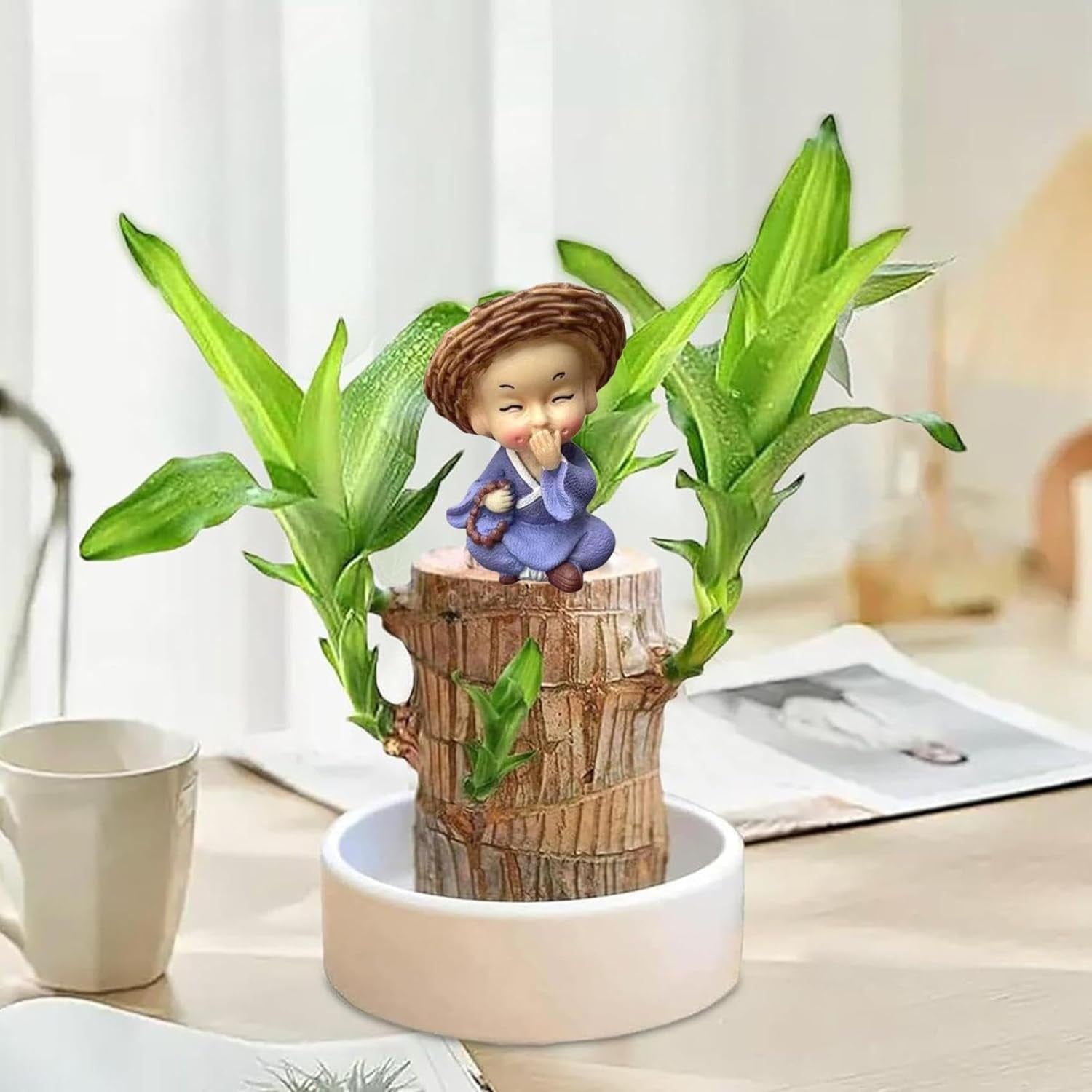 Mini Brazilian Wood Plant, Brazil Lucky Wood, Fortune Brazil Wood Potted Plant, Brazilian Wood ...