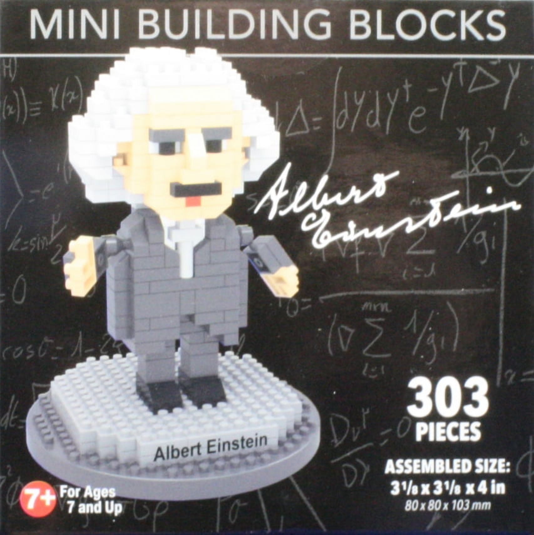 Mini Building Blocks - Albert Einstein - Walmart.com