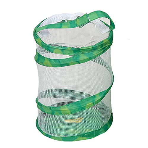 Mini Butterfly Habitat, Insect mesh Cage, Pop up Port A Bug Terrarium 8 ...