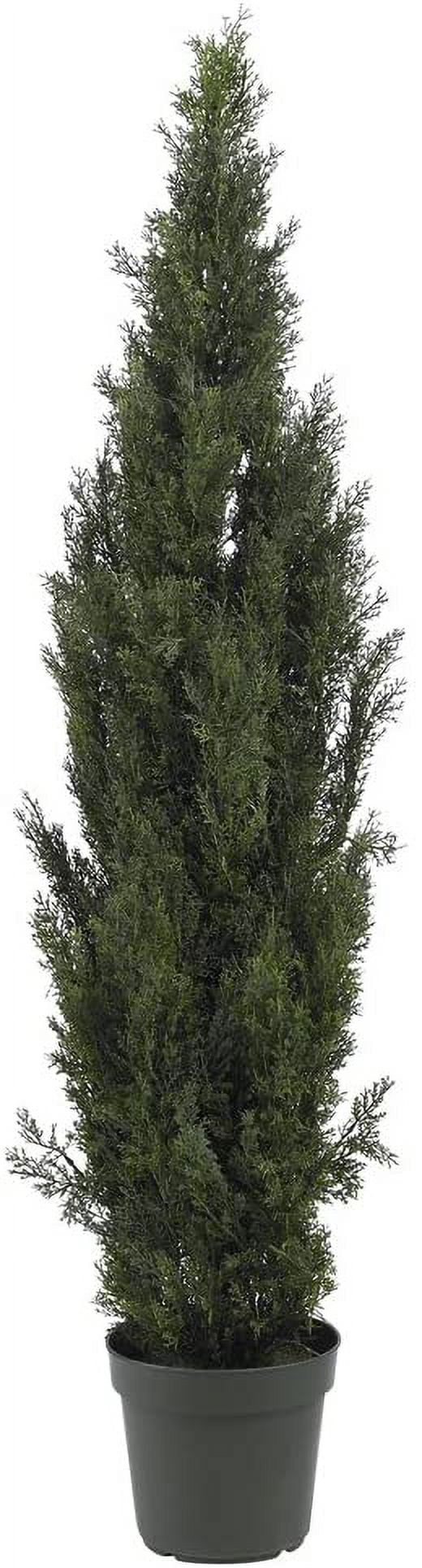 Mini Cedar Pine Tree (Indoor/Outdoor) - Walmart.com