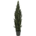 Mini Cedar Pine Tree (Indoor/Outdoor) - Walmart.com