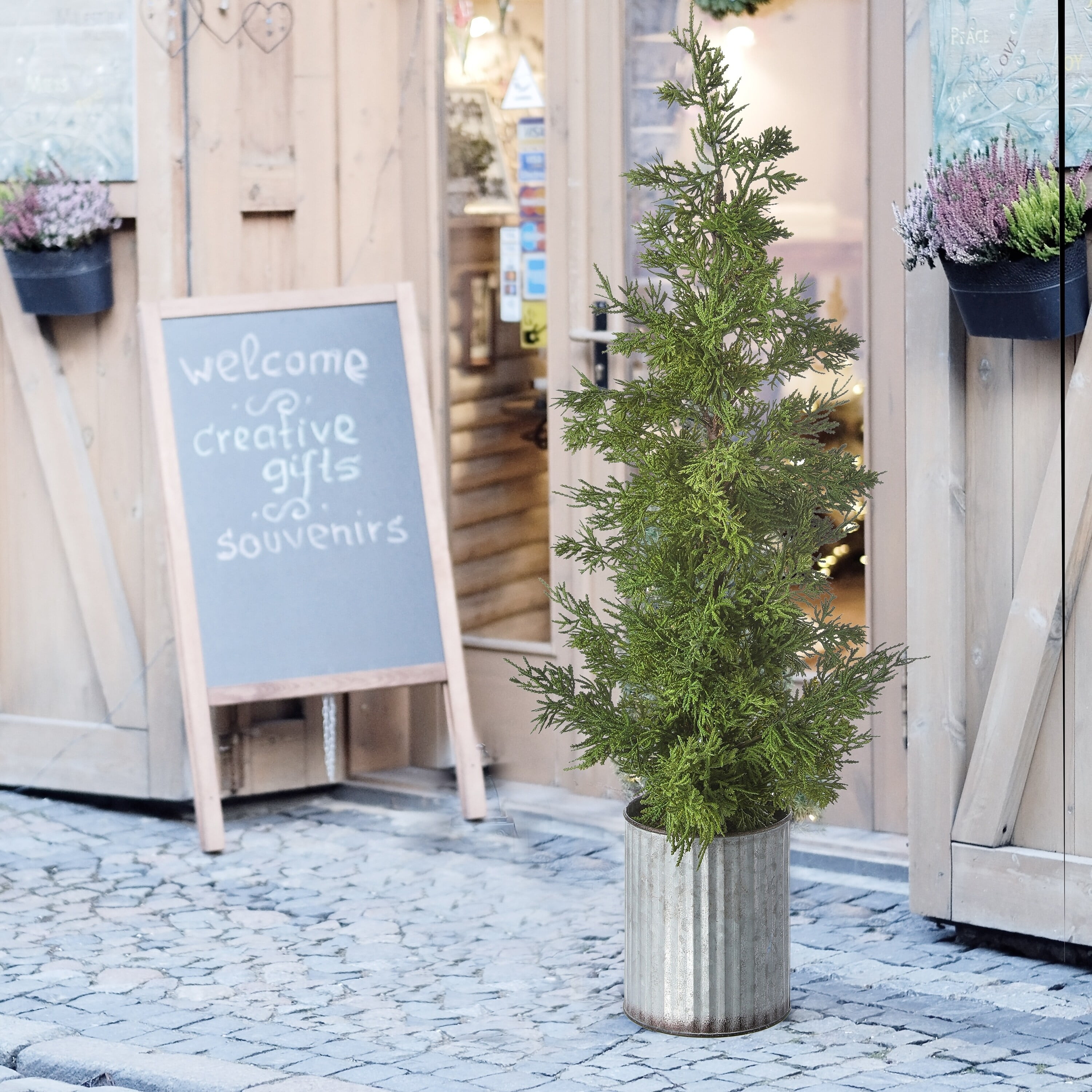 Mini Cedar Tree in Galvanized Pot 26" - 26-inch - Walmart.com