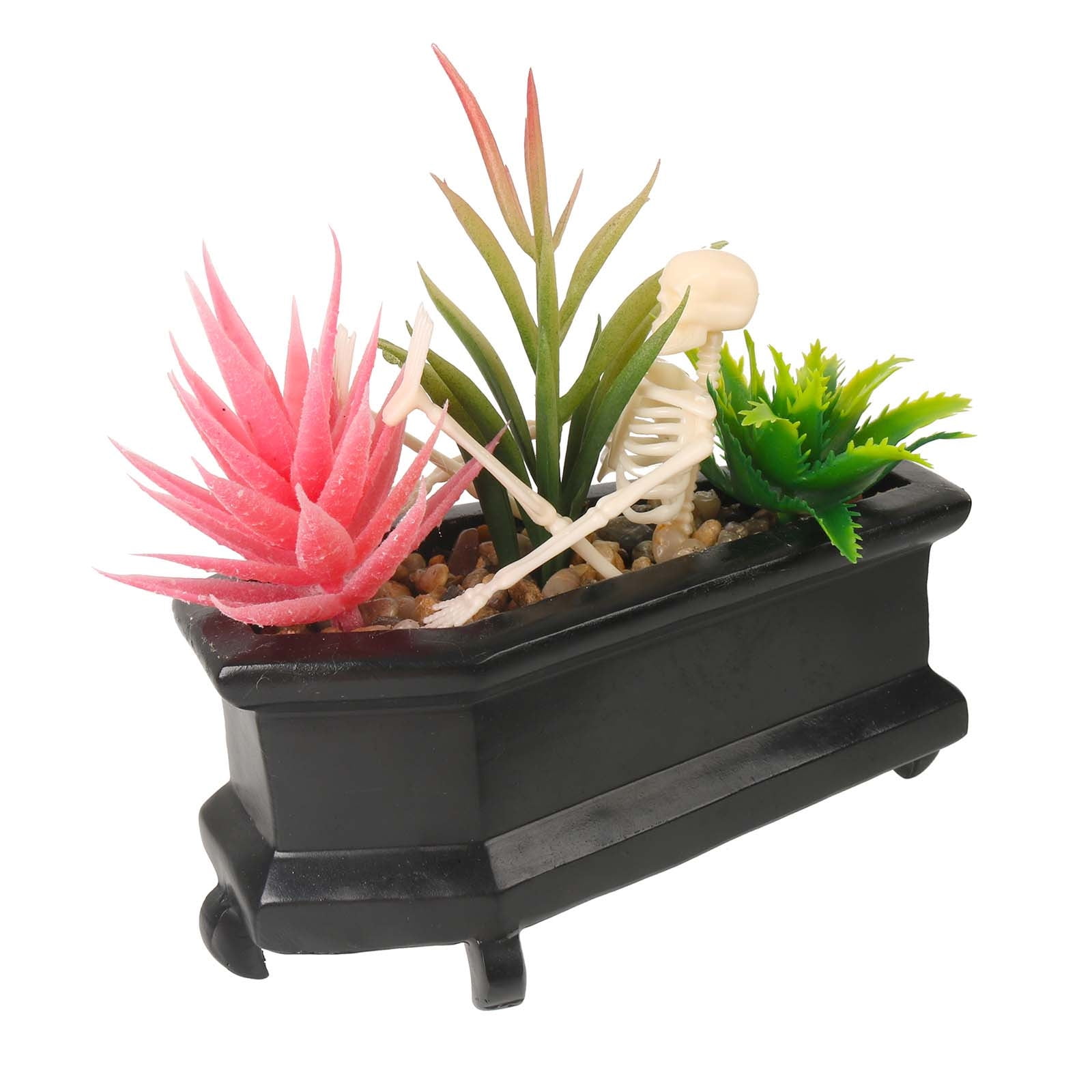 Mini Coffin Planter Halloween Gothic Pot Small Desk Ornament Indoor ...