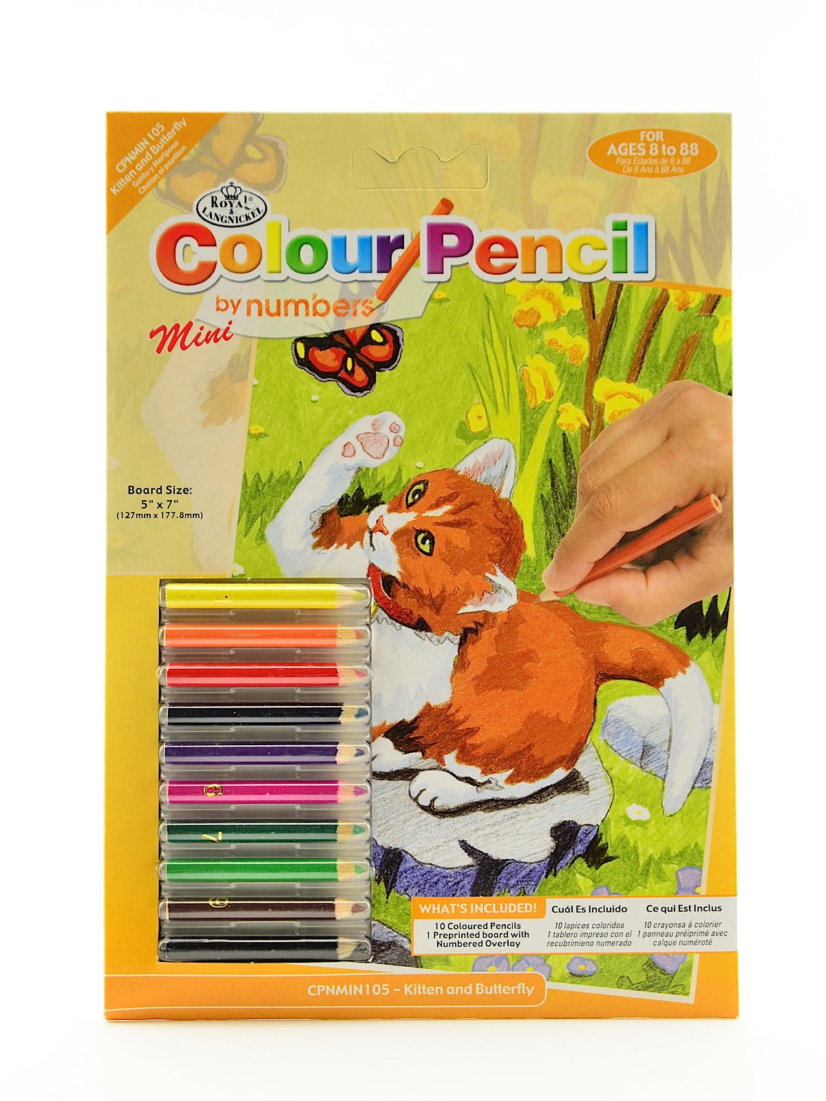 Mini Color Pencil By Number Kits Kitten & Butterfly (pack of 8 ...
