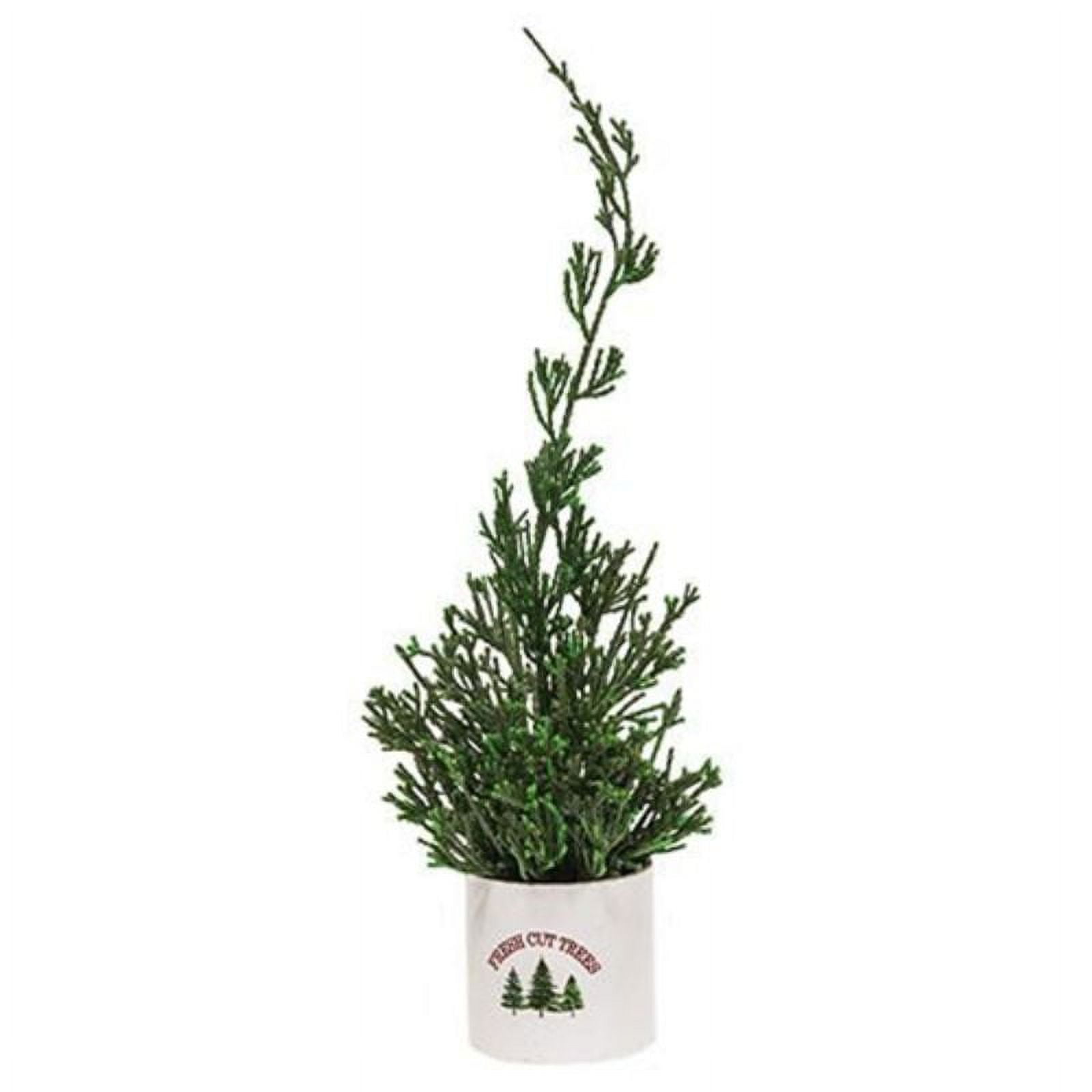 Mini Cypress Tree in "Fresh Cut Trees" Pot - Walmart.com