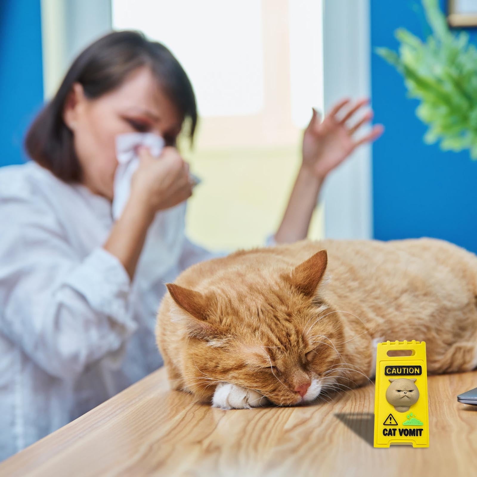 Mini Desk Caution Sign | Two-Faced Humor | Grumpy Face & Vomiting Side ...