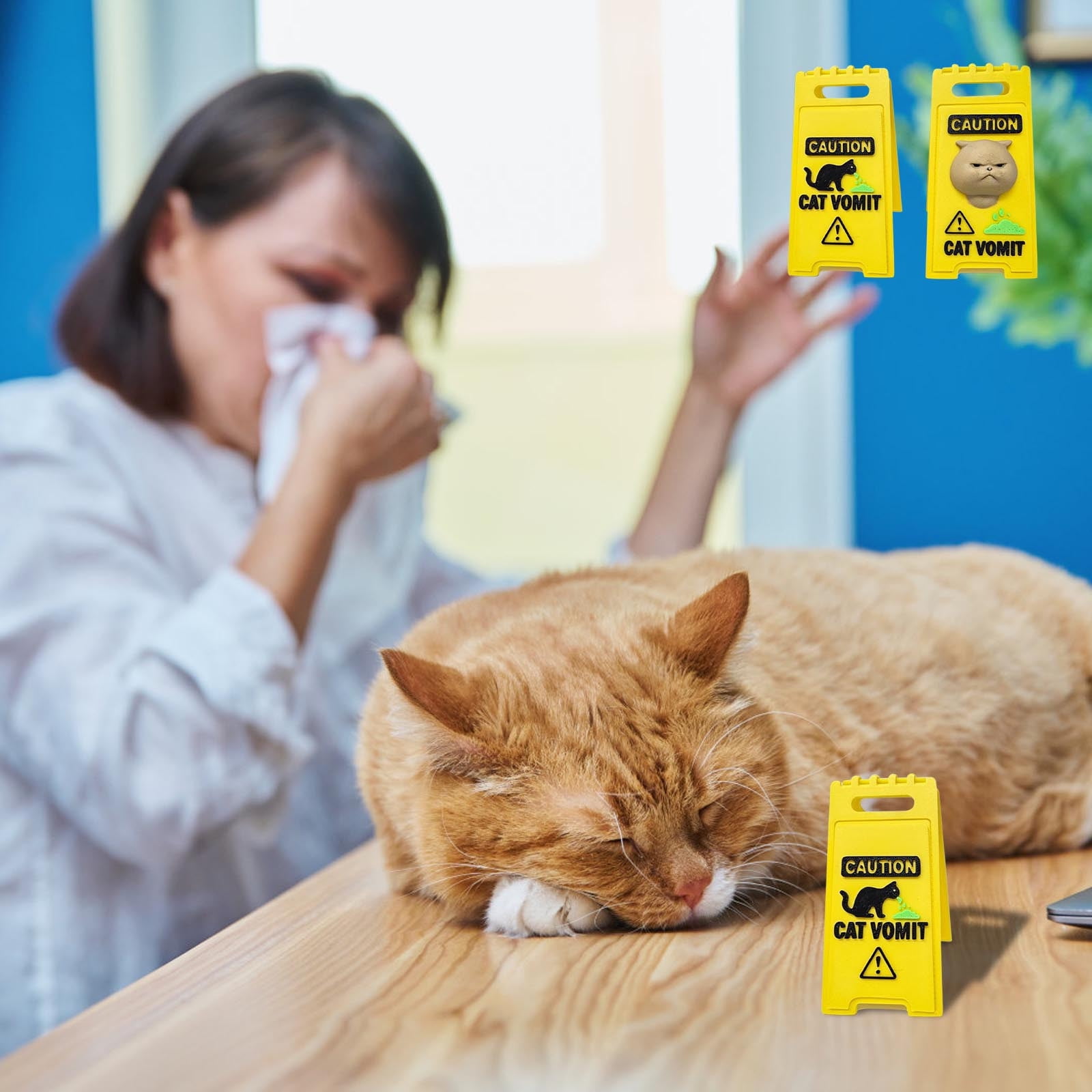 Mini Desk Caution Sign | Two-Faced Humor | Grumpy Face & Vomiting Side ...