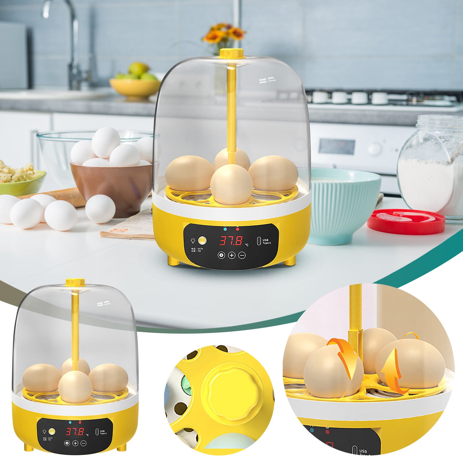 Mini Egg Incubator for Home, Temperature Control Digital Incubators ...