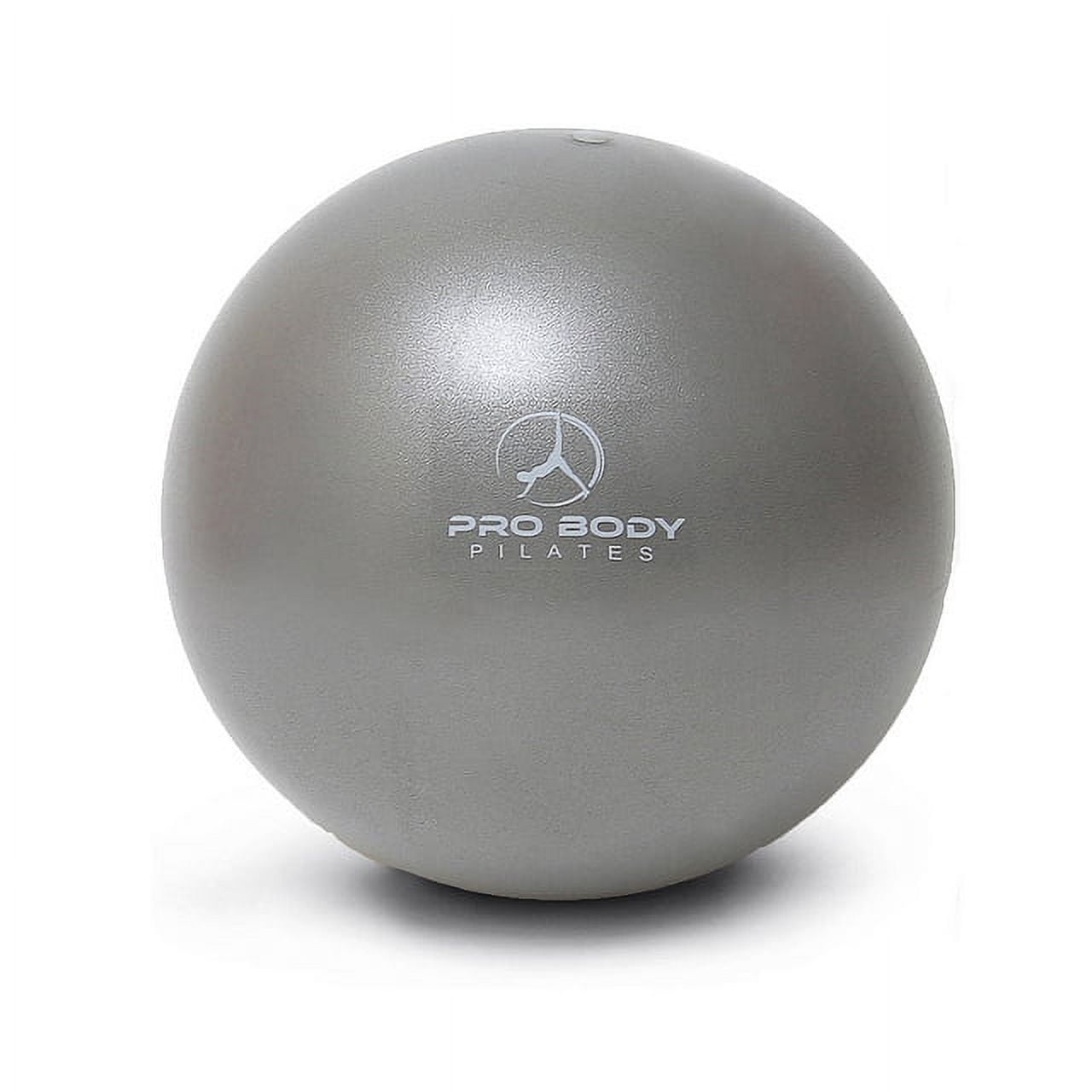 Mini Exercise Ball - 9 Inch Small Bender Ball for Stability, Barre ...