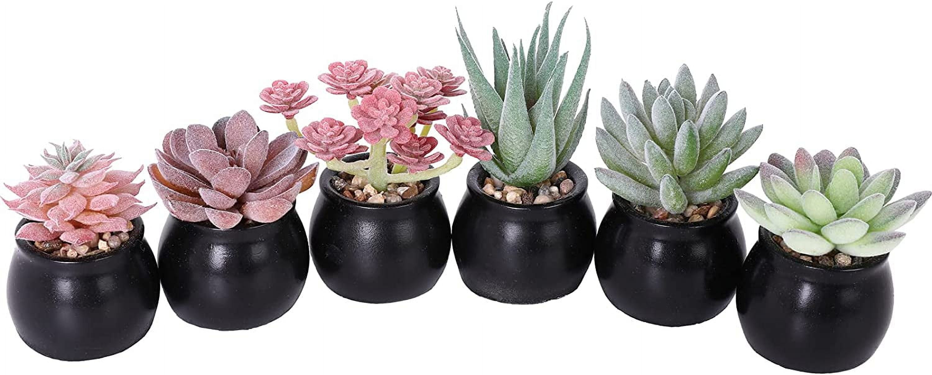Mini Fake Plants in Ceramic Pots Artificial Small Succulents Potted ...