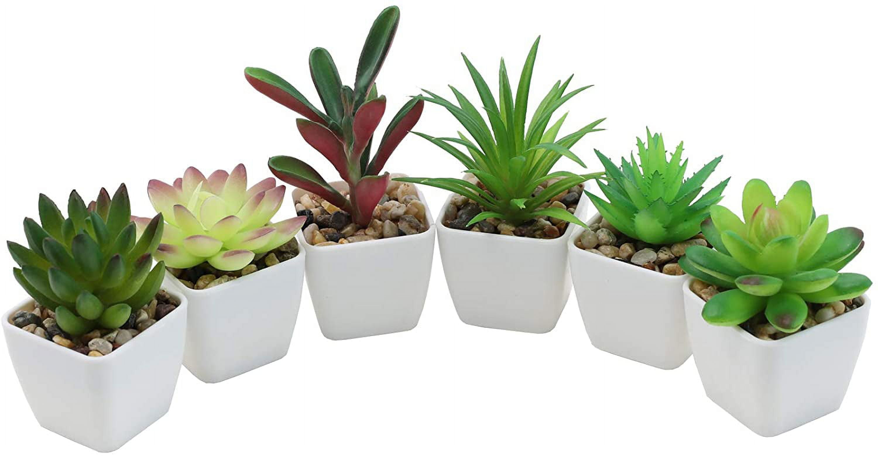 Mini Fake Succulent Plants Artificial Plastic Succulents Potted Faux ...