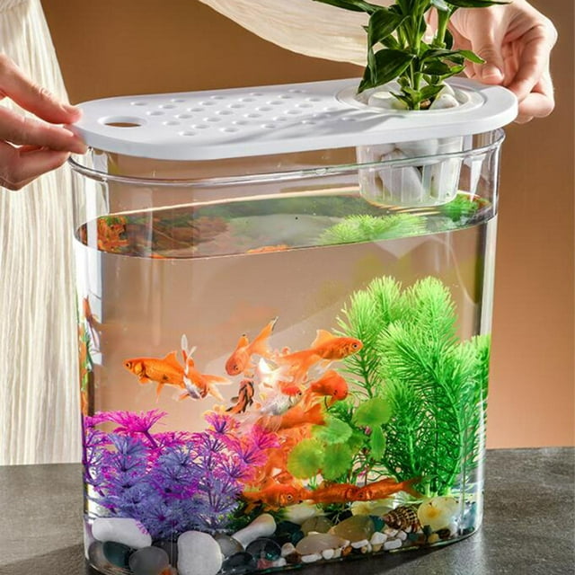 Mini Fish Tank Aquaponic Fish Tank Fish Breeding Box Small Desktop ...