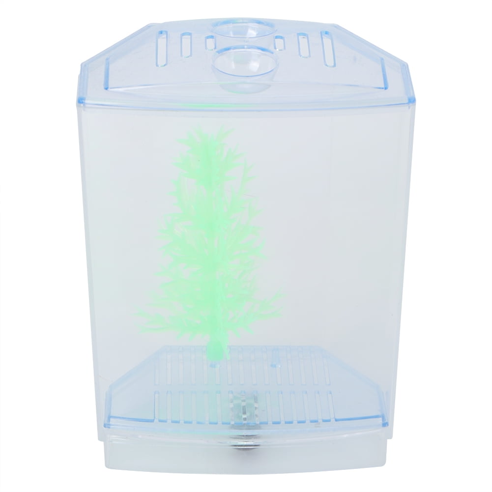 Mini Fish Tank Aquarium Transparent Water Plants Breeding Box Hatching ...