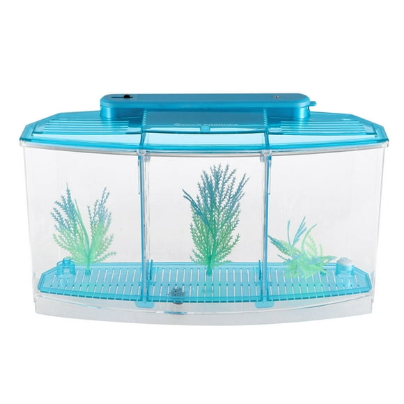 Self Cleaning Fish Tank