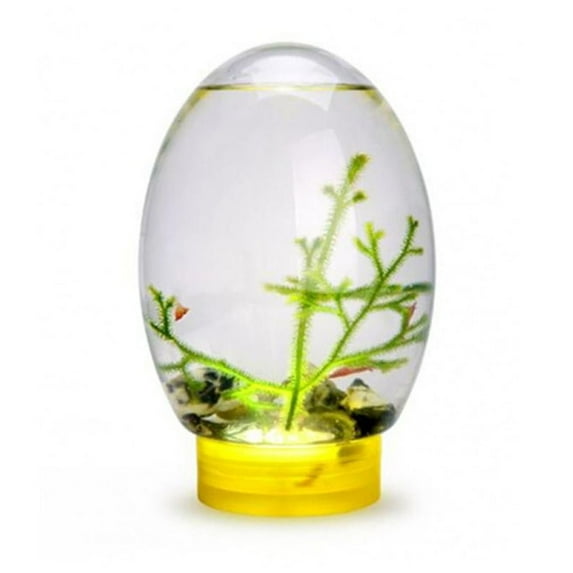 Mini Fish Tank, Small Desktop Aquarium with LED Light, Self Sustaining ...