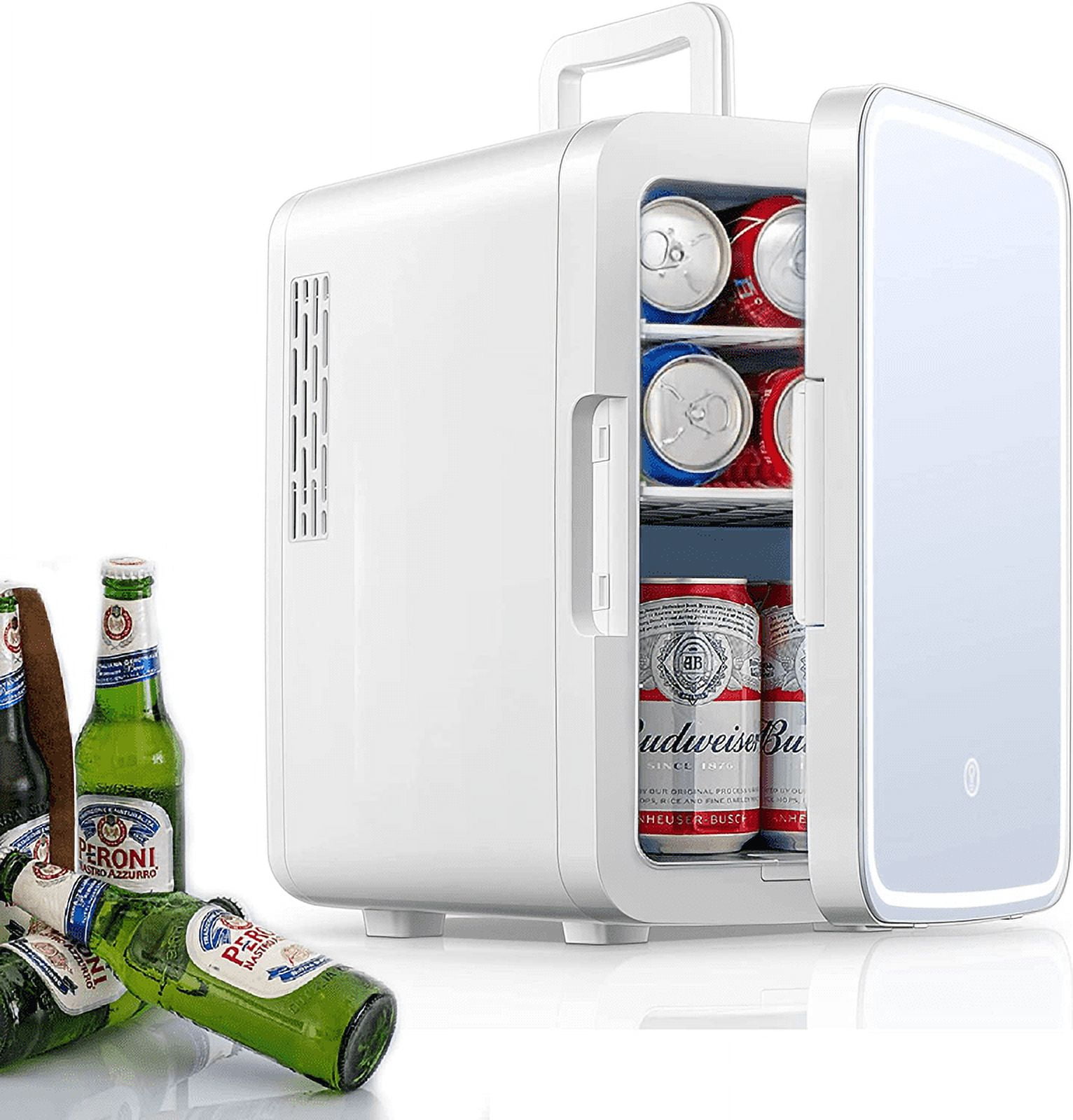 NORTHCLAN 10L Large Capacity Mini Fridge with LED Vanity Mirror for ...