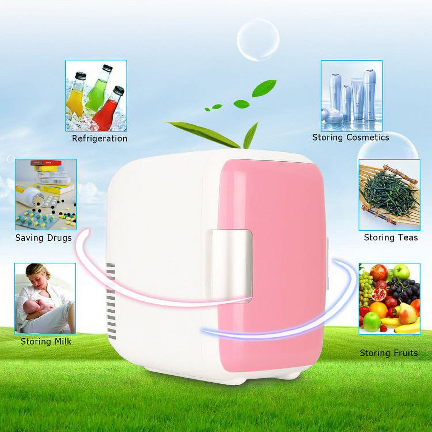 Mini Fridge Electric Cooler and Warmer (4 Liter ): Portable ...
