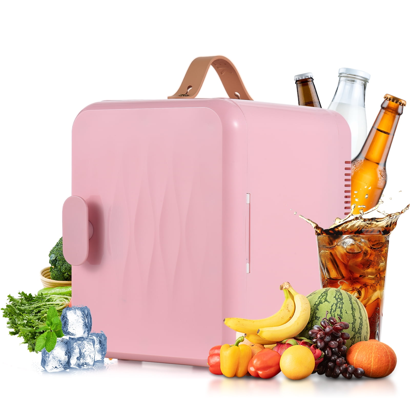 Mini Fridge, Portable Thermoelectric Cooler and Warmer Refrigerators ...