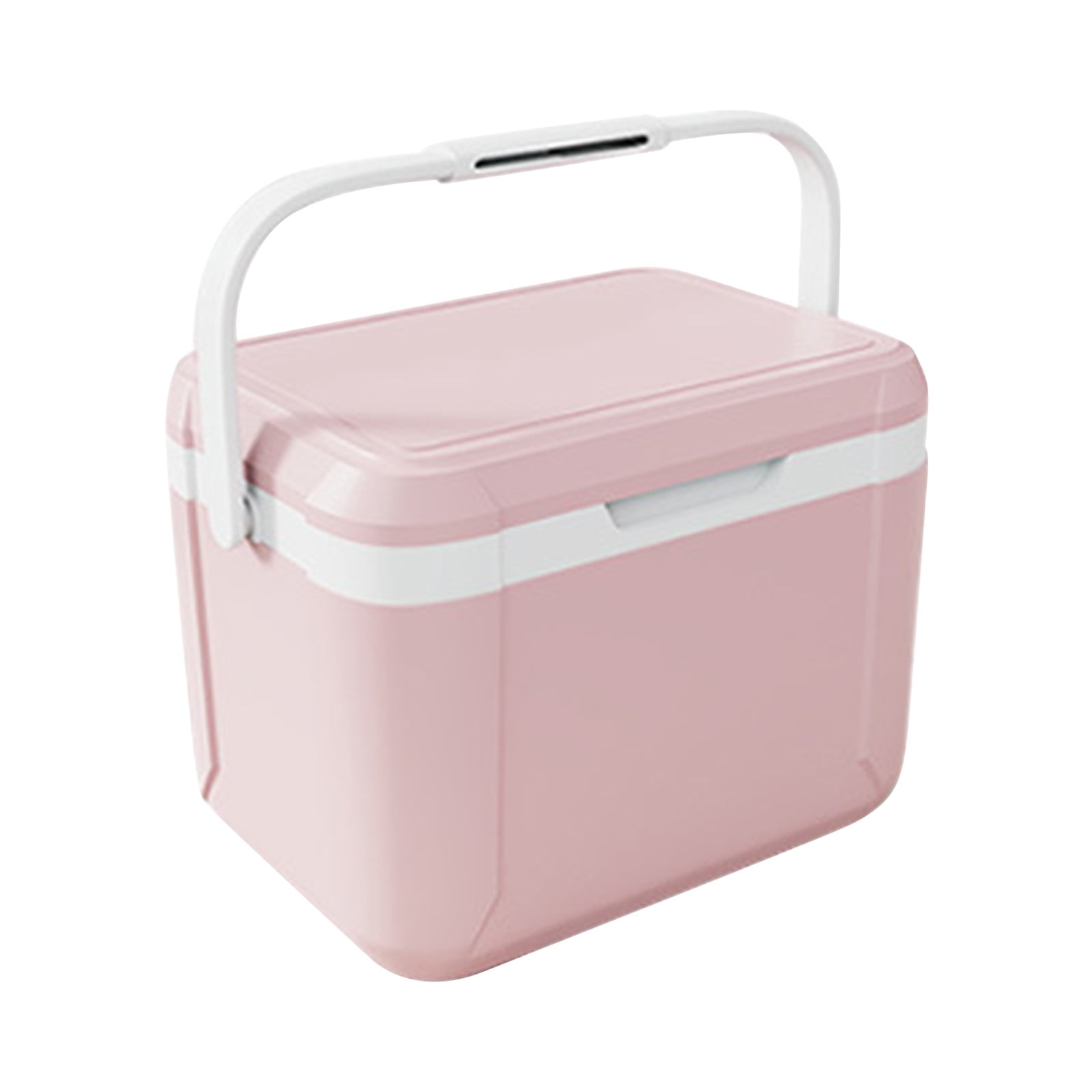 Mini Fridge,Small Refrigerator Portable Thermoelectric Cooler and ...