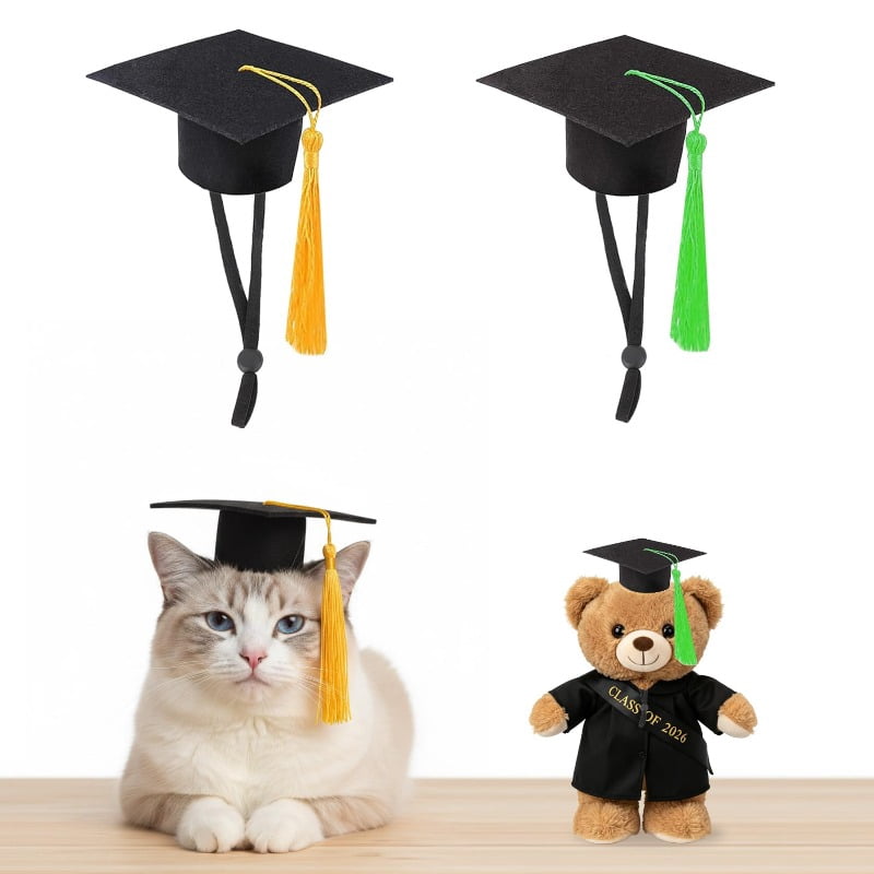 Mini Graduation Caps with Gold Tassel, 2 Pack Black Mini Graduation ...
