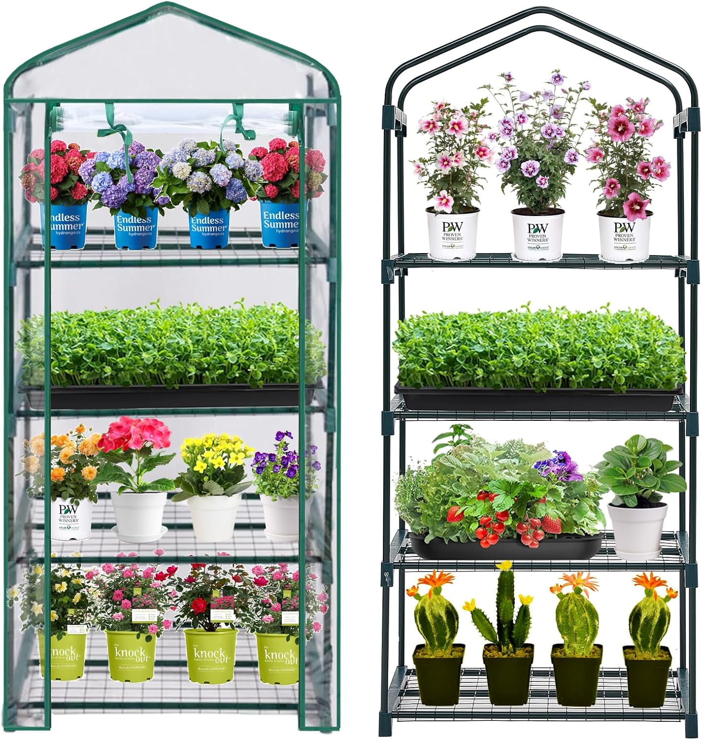 Mini Greenhouse for Indoor Outdoor, Plant Green House 4-Tier Rack Stand ...