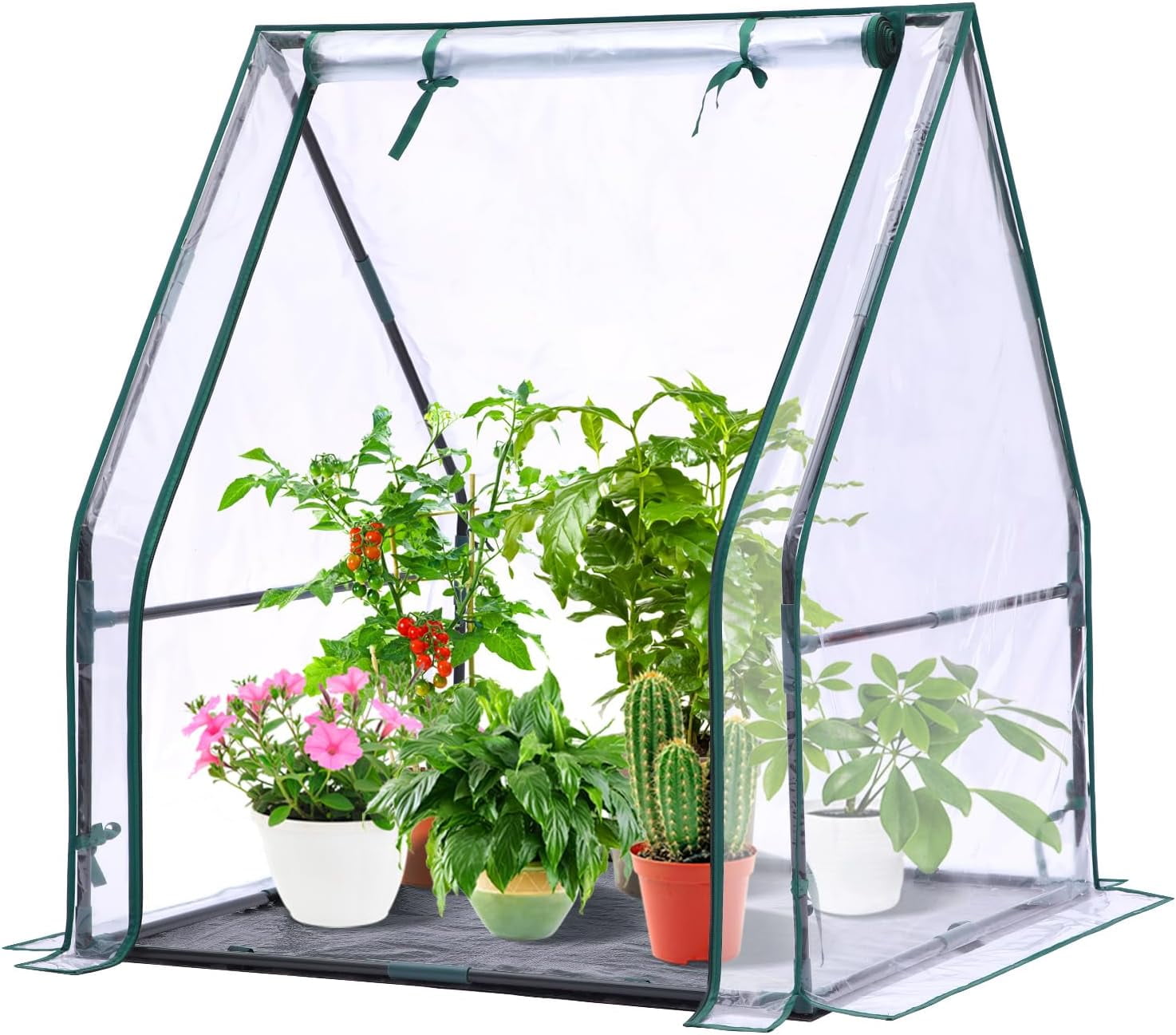 Mini Greenhouse for Indoor Outdoor: Portable Green House with ...