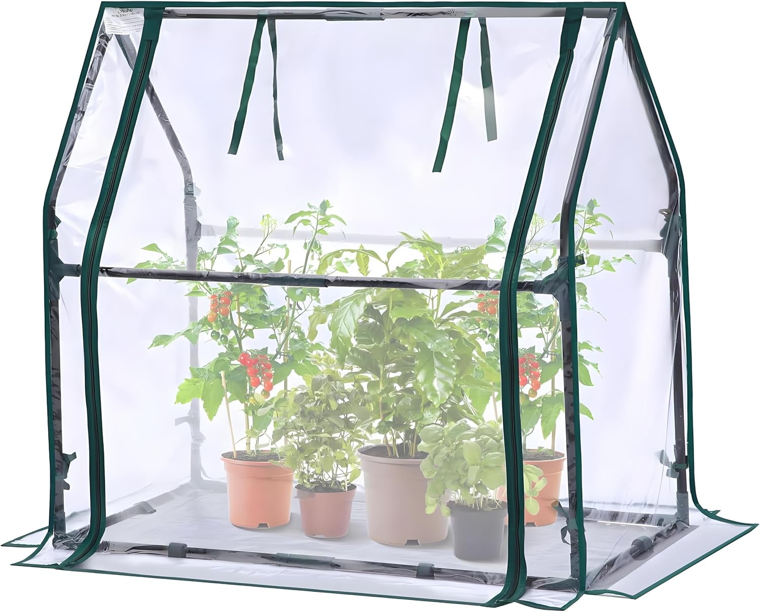 Mini Greenhouse for Indoor Outdoor: Portable Green House with ...