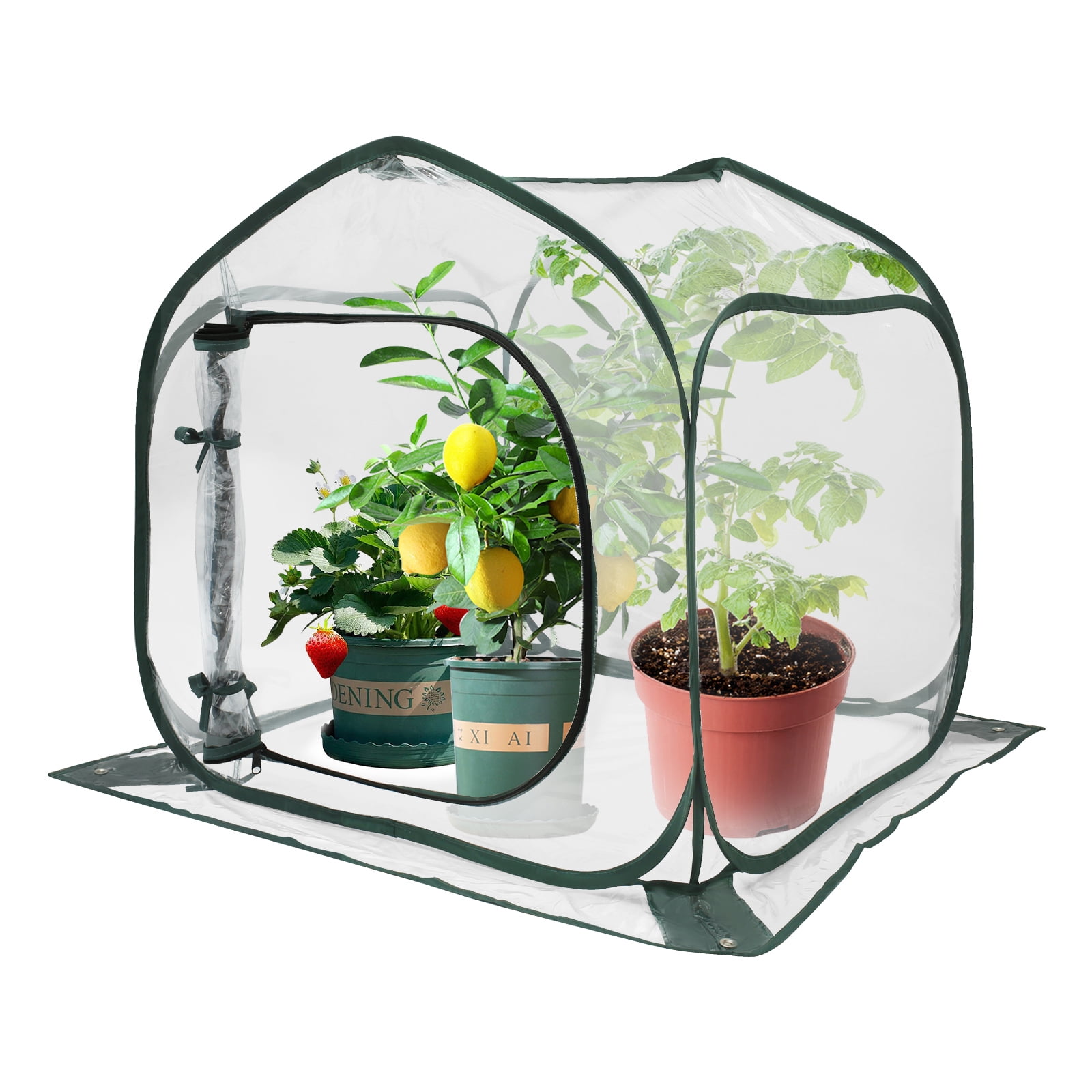 Mini Greenhouse for Indoor Outdoor Transparent Foldable Plant ...