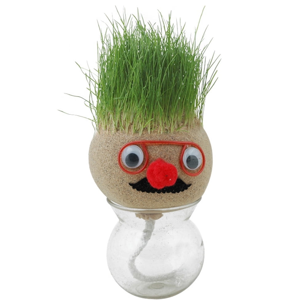 Mini Growing Grass Head Education Toys Grass Head Dolls Children Kids ...