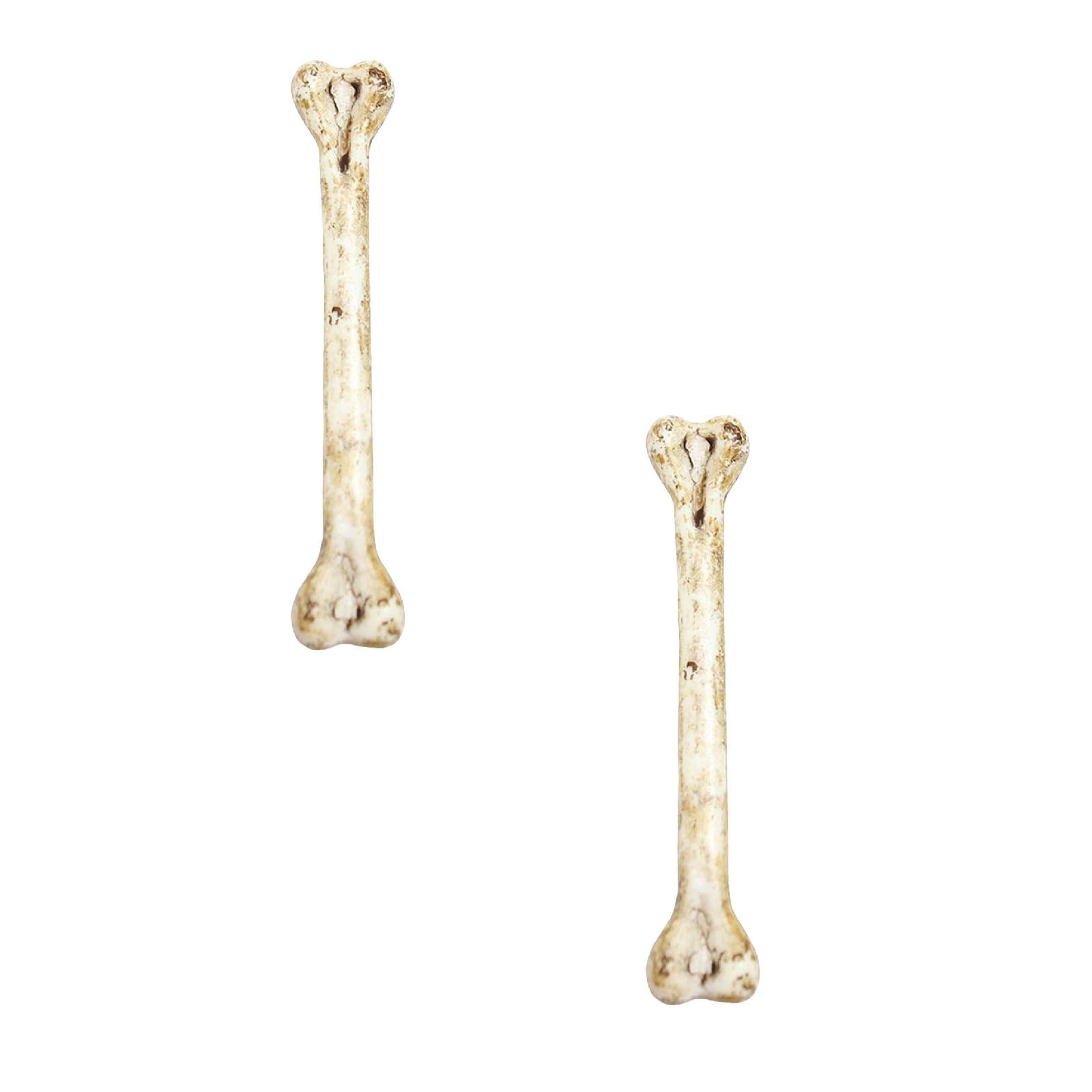 Mini Halloween Skeleton Bones, Bones Halloween for Halloween ...
