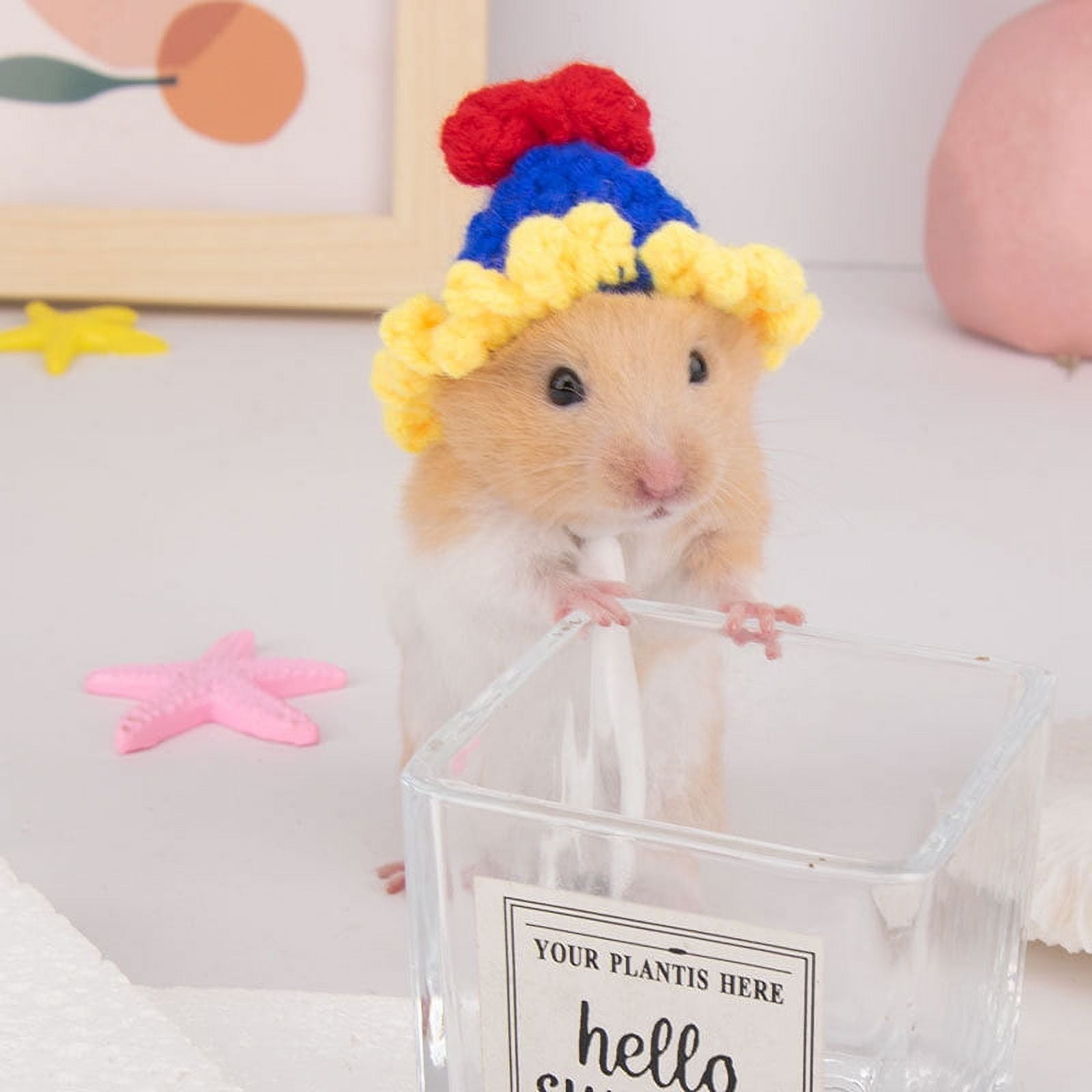 Mini Hamster Hat Hand Knitted Small Animals Hat with Adjustable Strap ...