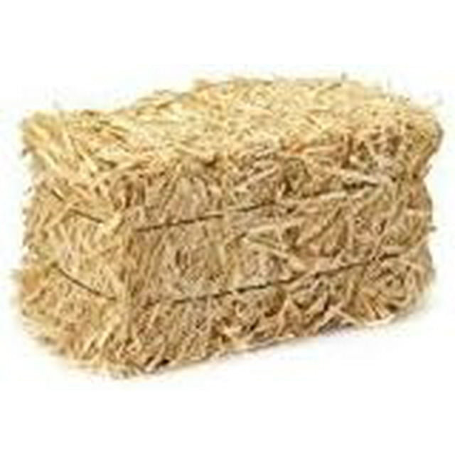 Mini Hay Bales for Autumn Harvest Craft, Decoration and Display, 1 Unit ...