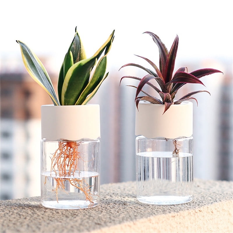 Mini Hydroponic Flower Pot Home Vase Decor Transparent Imitation Glass ...
