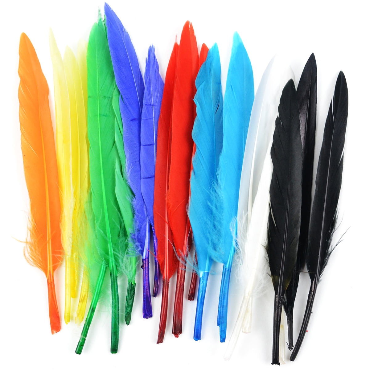 Midwest Design Mini Indian Feathers, 72 pcs, 3-24/Pkg, Assorted Colors ...