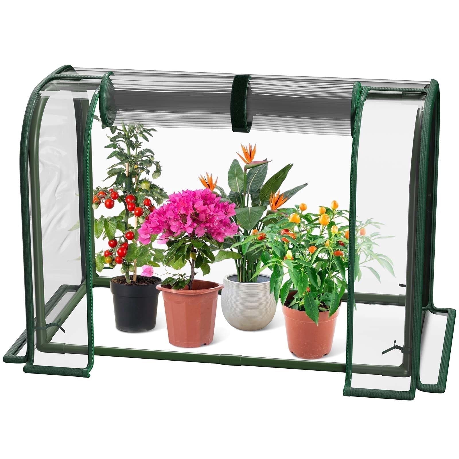 Mini Greenhouse Indoor Outdoor, 22.6*16.9*12.8 Inch Portable Tabletop ...