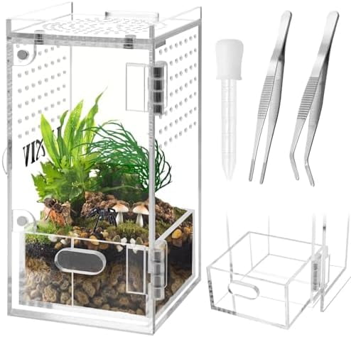 Mini Jumping Spider Enclosure with Tongs, Dropper, Acrylic Tarantula ...
