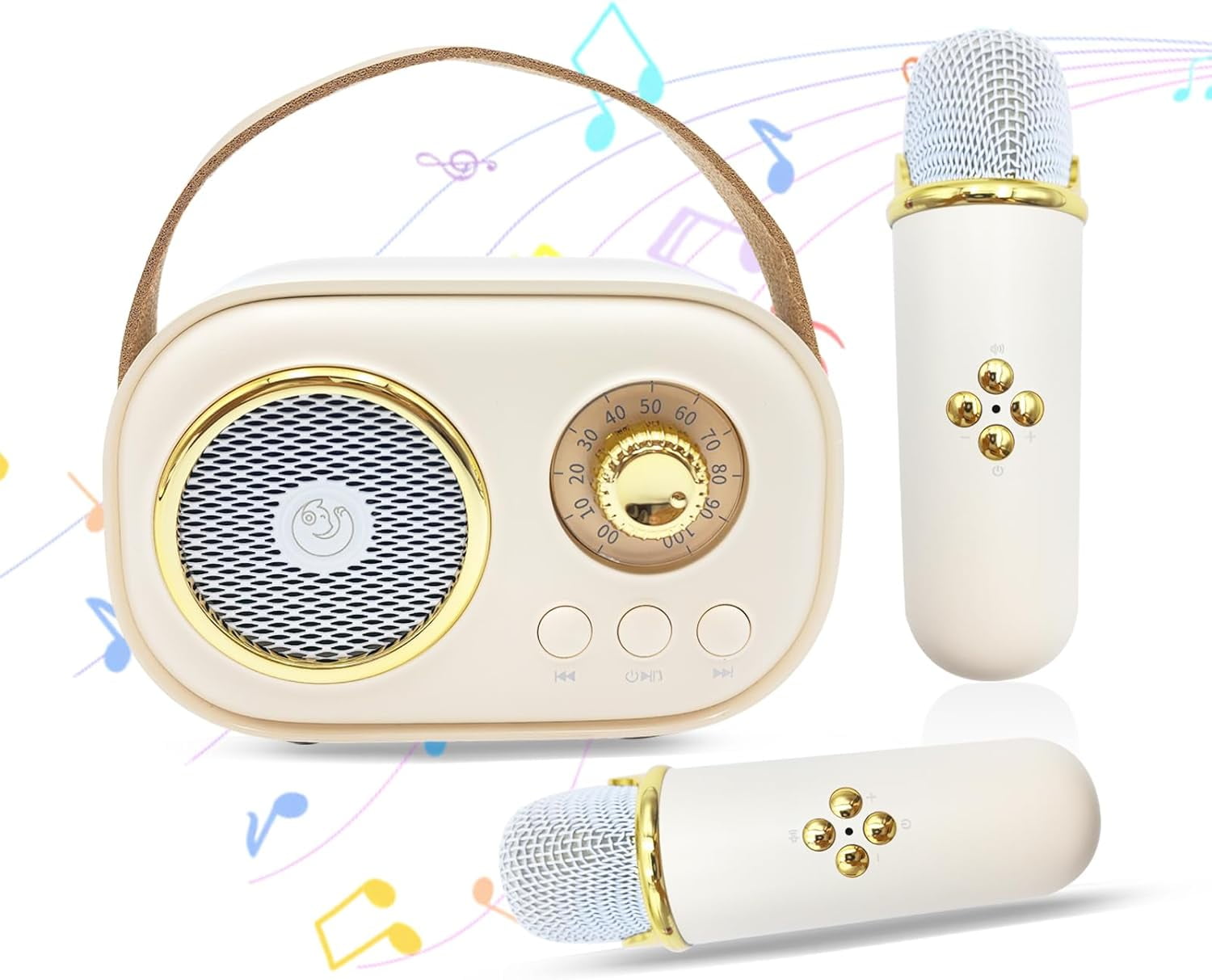 Mini Karaoke Machine,Karaoke Machine for Kids and Adults,2 Wireless ...