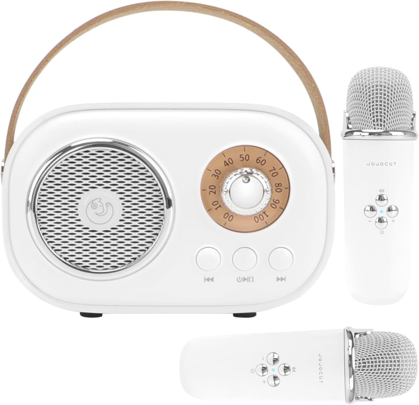 Mini Karaoke Machine,Karaoke Machine for Kids and Adults,Cute Karaoke ...