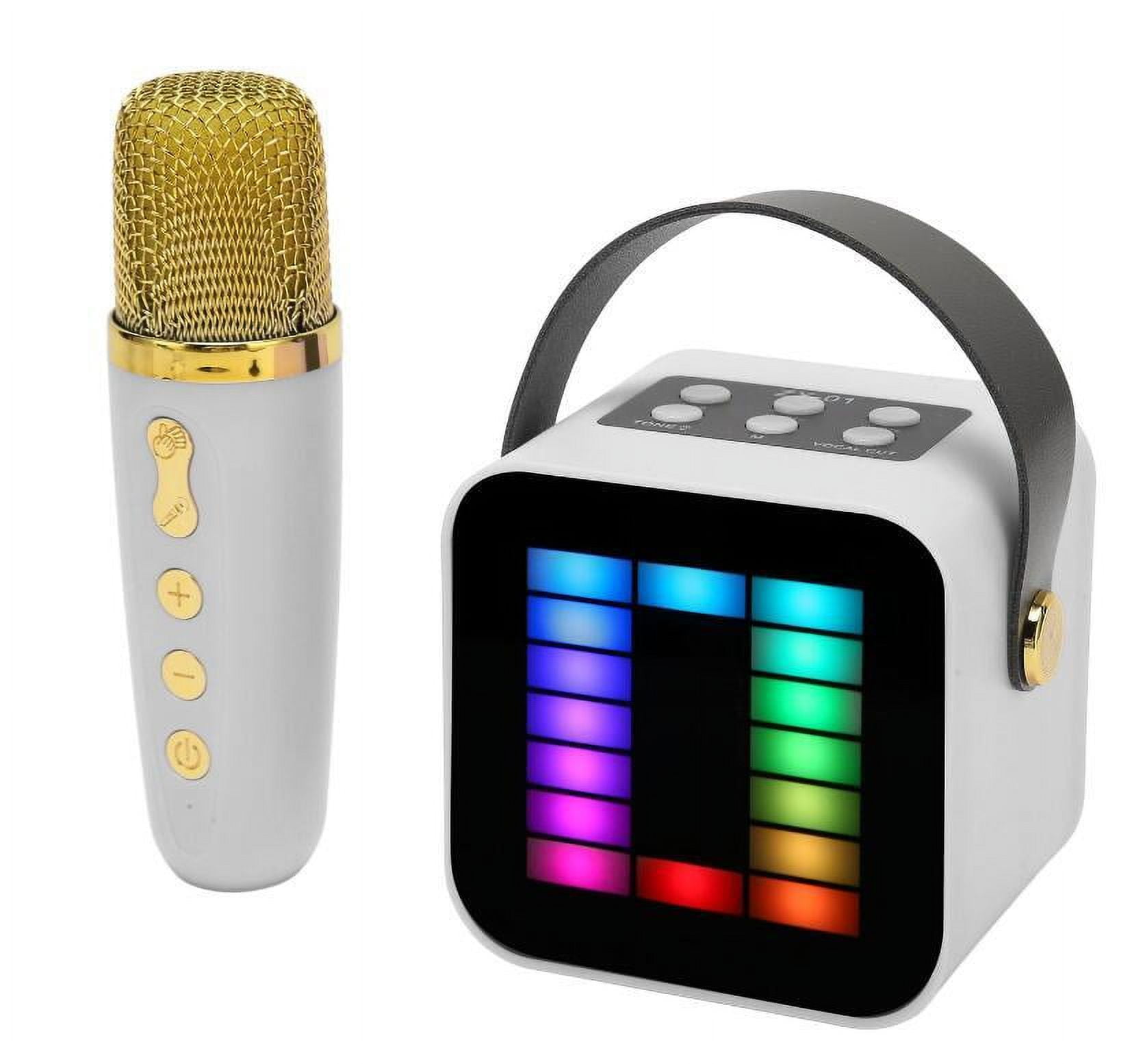 Mini Karaoke Machine Set RGB Pickup Light Digital Processing Chip Handheld Portable Bluetooth ...