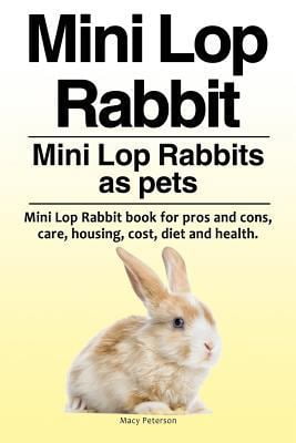 Pre-Owned Mini Lop Rabbit. Mini Lop Rabbits as pets. Mini Lop Rabbit book for pros and cons ...