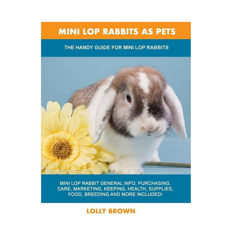 Brown Mini Lop Rabbits