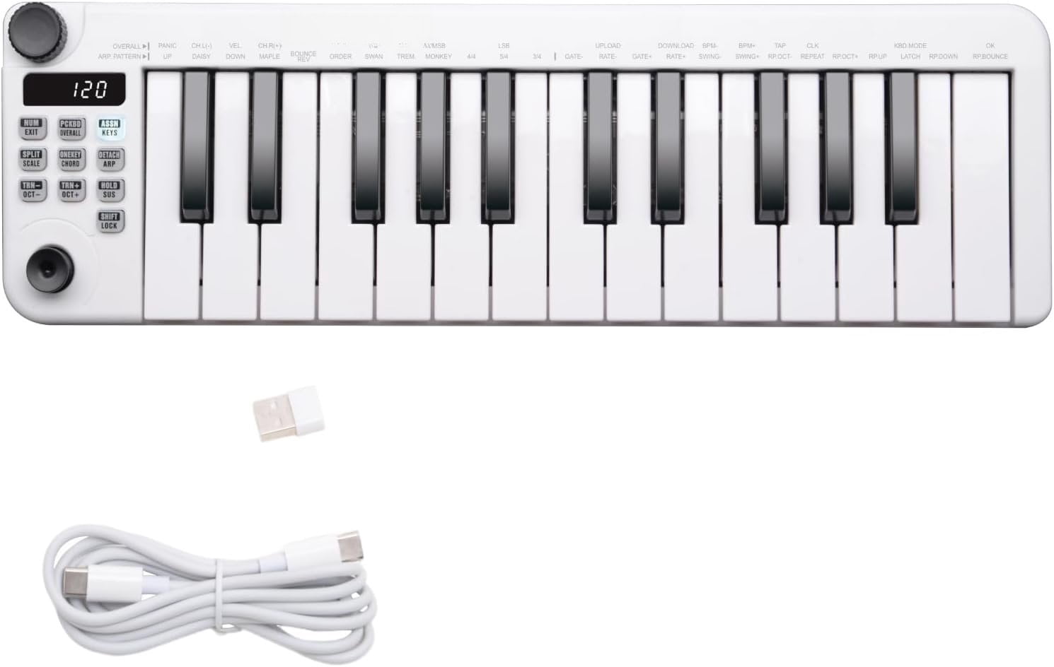 Mini MIDI Keyboard, 25 Key MIDI Controller for Beginner with Dual ...