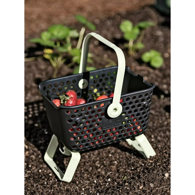Gardener's Supply Multipurpose Mini Mod Hod - Harvest, Rinse & Store ...