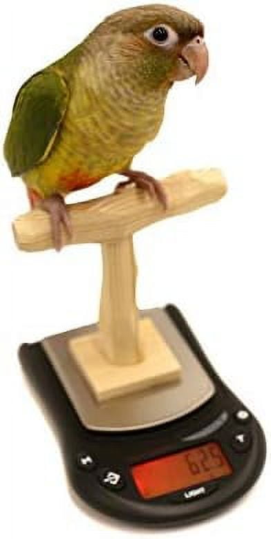 Mini NU Perch Parakeet Training Scale - Small Parrots & Parakeets ...