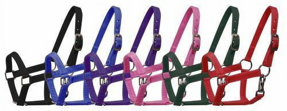 Mini Nylon Halter w/ Nickel Plated Hardware (Pink) - Walmart.com