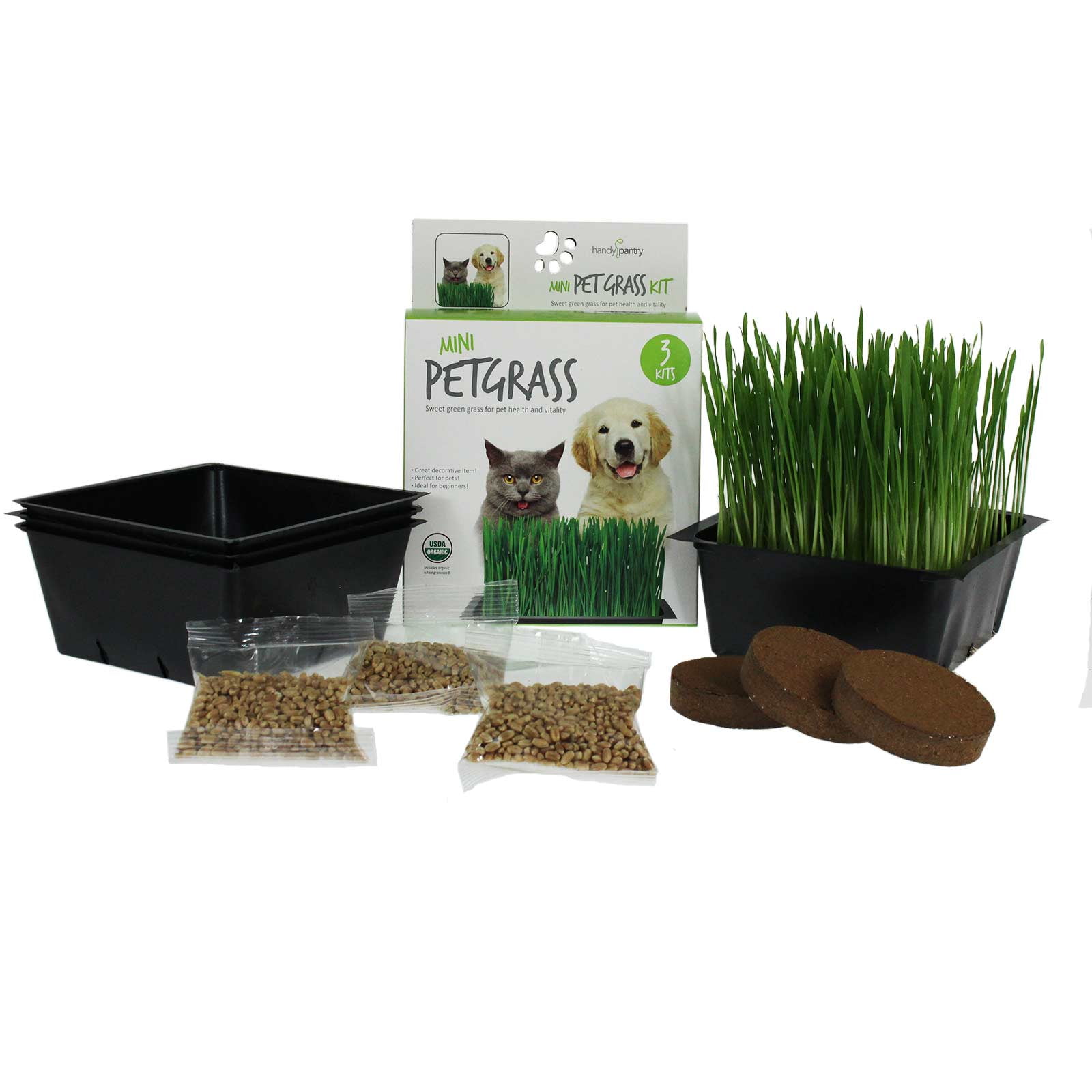 Mini Organic Pet Grass Kit -3 Pack- Grow Wheatgrass for Pets: Dog, Cat ...