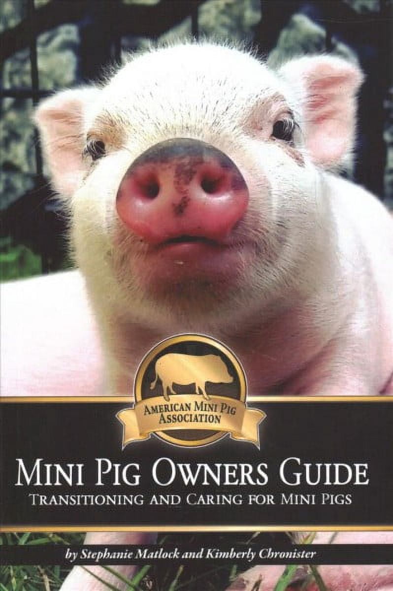 Mini Pig Owners Guide : Transitioning and Caring for Mini Pigs ...