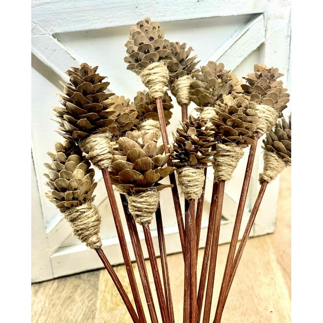 Mini Pine Cone, 9" Rattan Wood Reed Diffusers Replacement Sticks, 16 pk ...