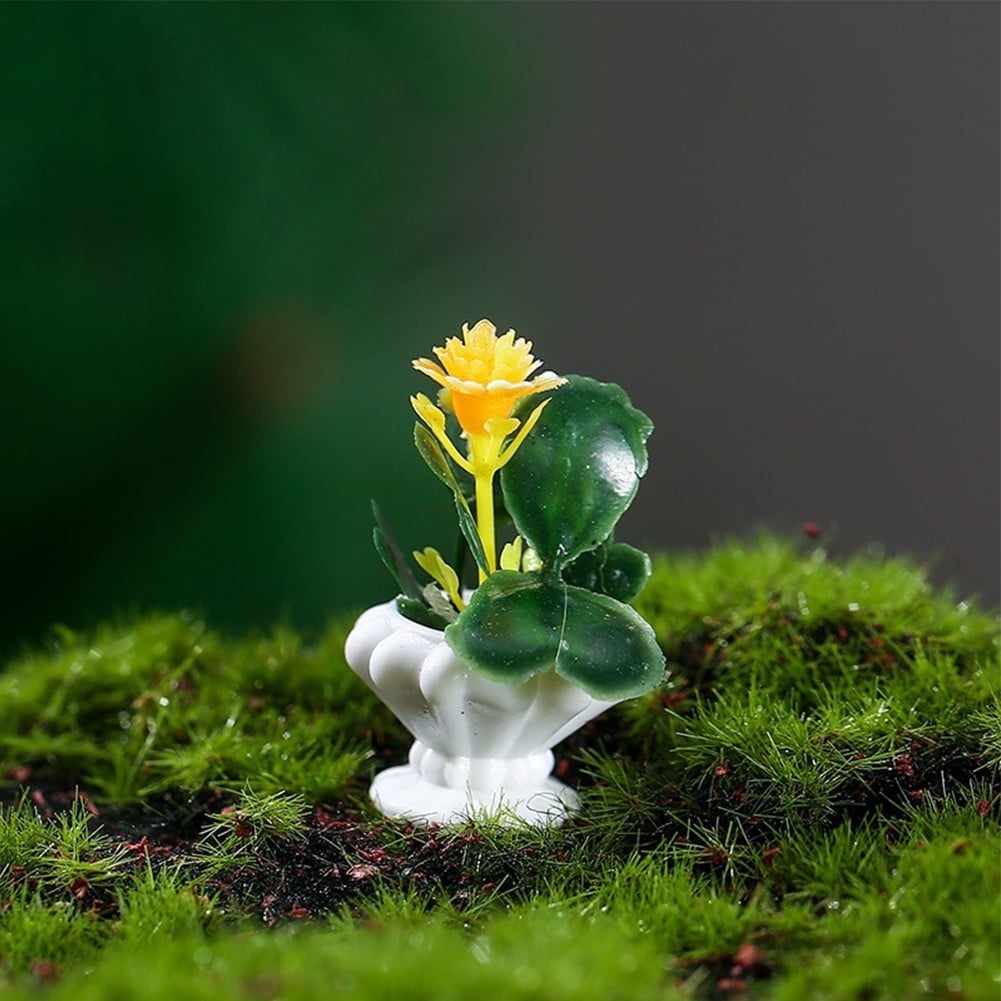 Mini Plant model Gardening Micro-landscape Ornaments and decorations ...